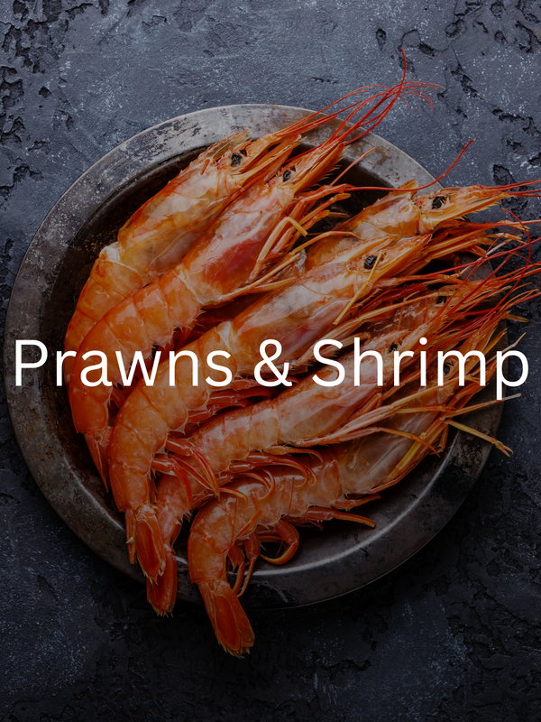Prawns – Seven Seas Fisheries