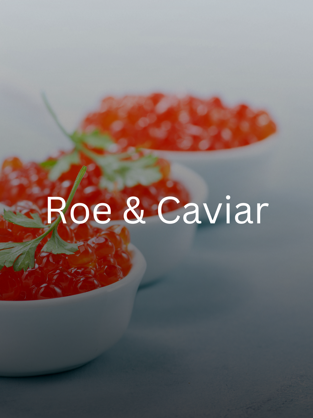 our products – Seven Seas Fisheries